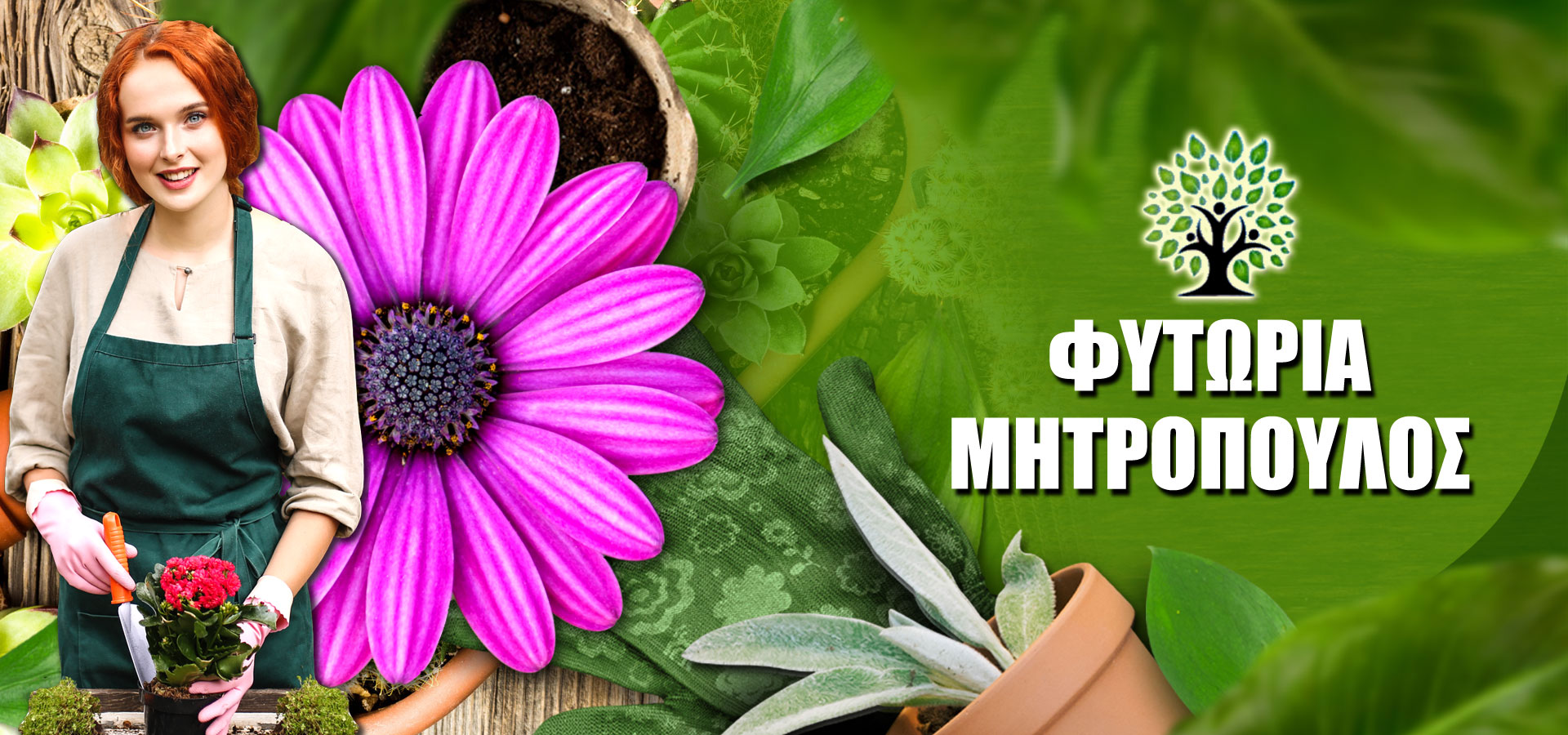 ΦΥΤΩΡΙΟ ΒΕΡΟΙΑ - ΜΗΤΡΟΠΟΥΛΟΣ ΚΩΝΣΤΑΝΤΙΝΟΣ